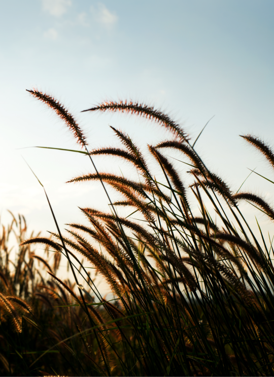 Nederman | Join the clean air revolution | Nexer Recruit